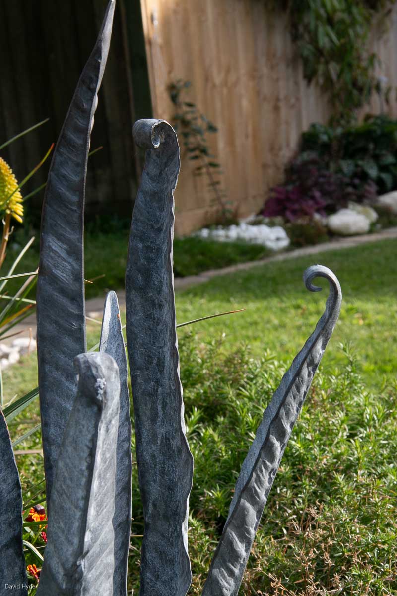 Aged Galvanised Steel Harts Tongue Fern Sculpture